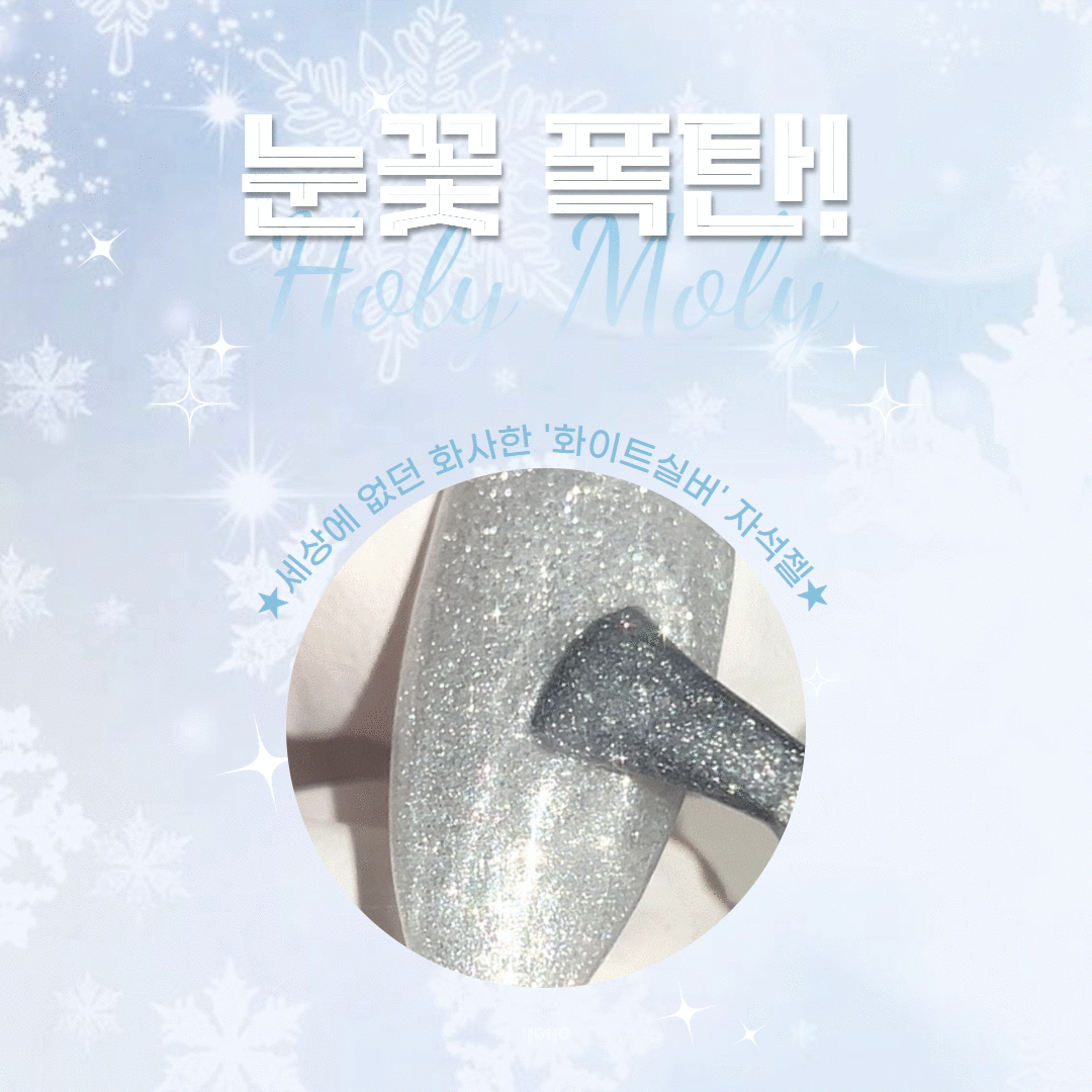 YOGO Holy Moly Silver [Magnet Gel] – Haeyo